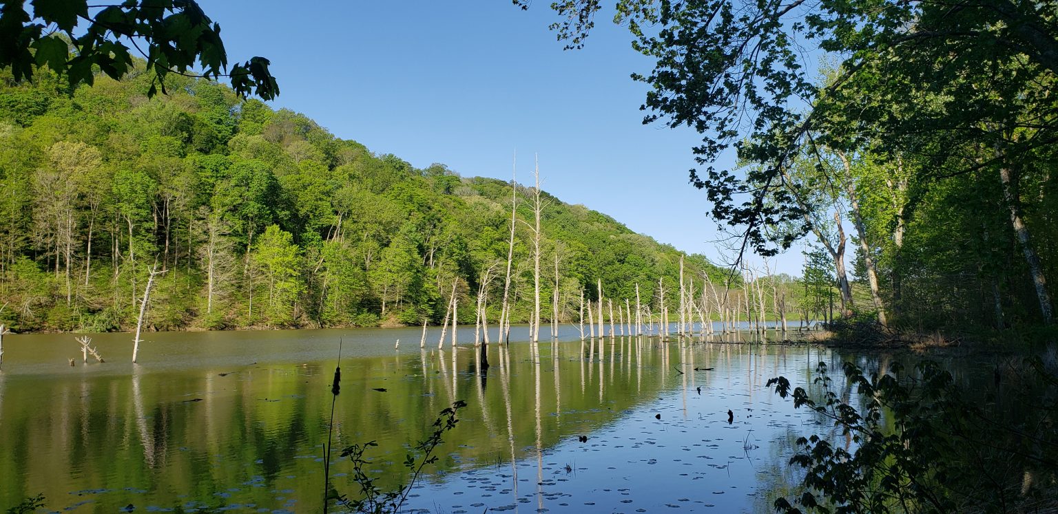 Knobstone Hiking Trail Association – Realizing the 1970s Visionary 160 ...