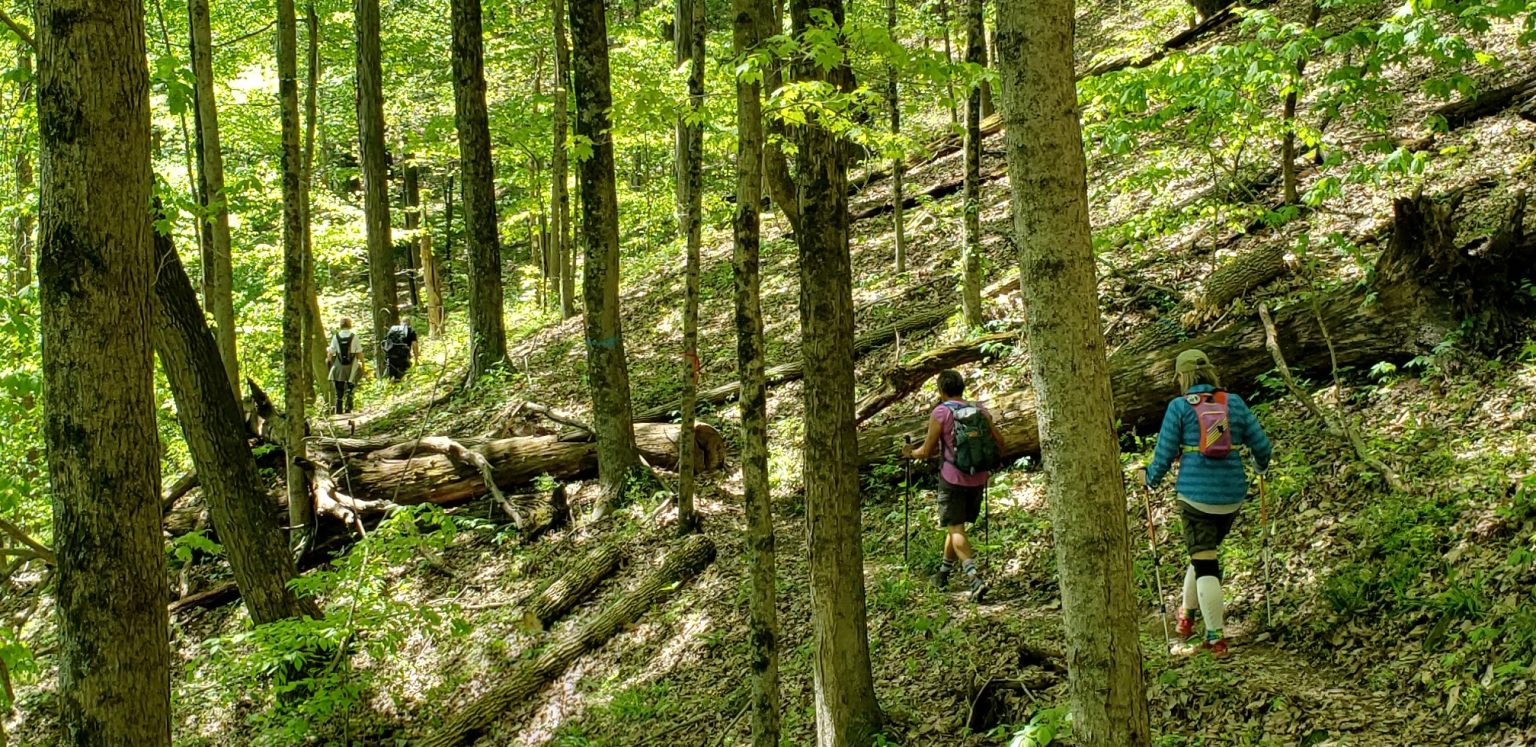 Knobstone Hiking Trail Association – Realizing the 1970s Visionary 160 ...